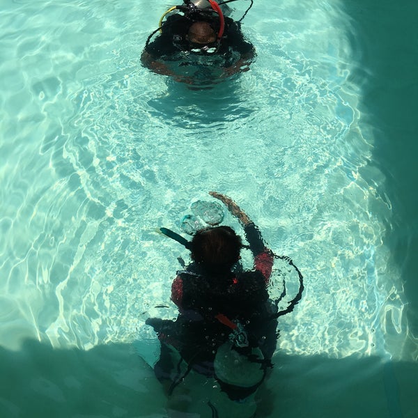 Sealantis Dive Centre - Petaling Jaya, Selangor