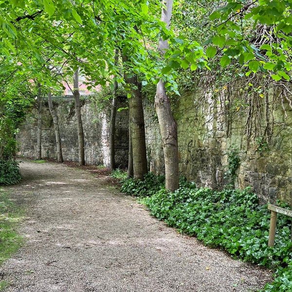 Photos at Iveagh Gardens - South-East Inner City - 26 tips from 1968 ...