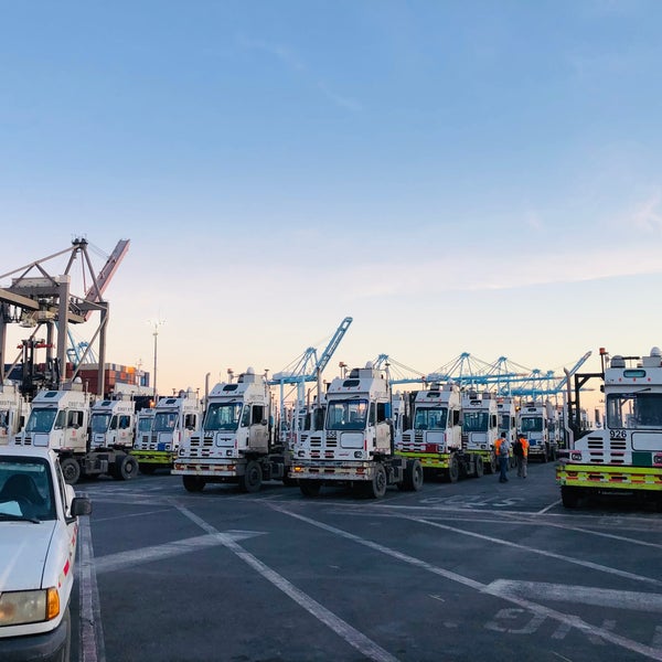 APL Shipping Terminal - Structure in San Pedro
