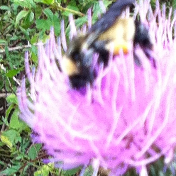 Photos at Naval Recreation Center Solomons Island - Campground in Solomons