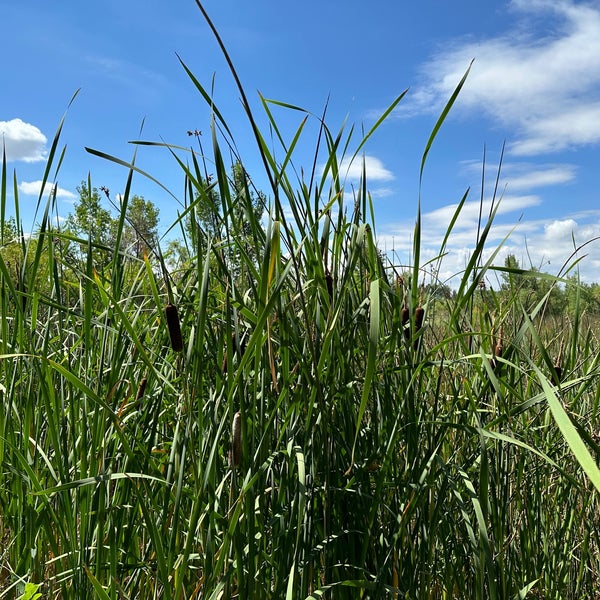 Ketring Park And Museum - 1 tip