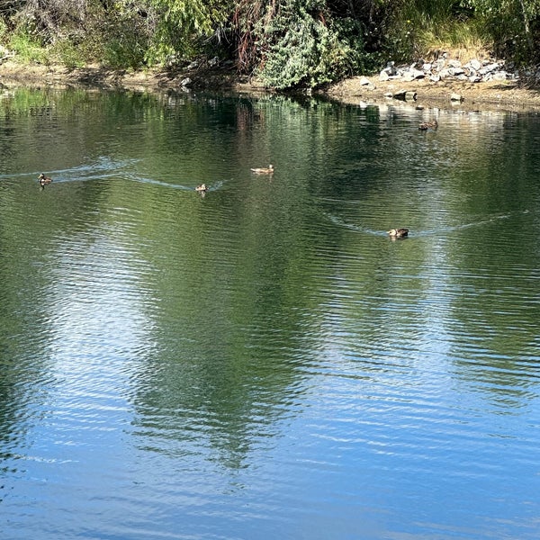 Ketring Park And Museum - 1 tip