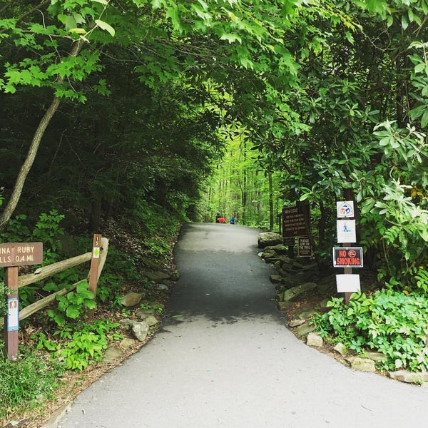 Anna Ruby Falls - Nacoochee, GA