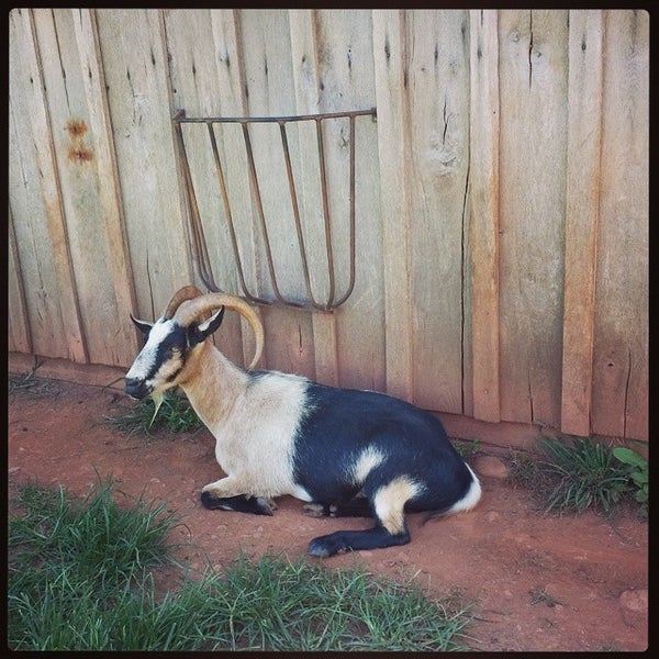 Poplar Spring Animal Sanctuary - Poolesville, MD