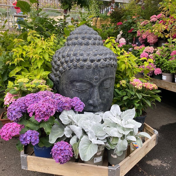 Camden Garden Centre - 12 tips from 354 visitors