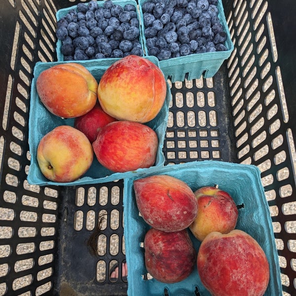 Balsam Farms - Town Ln