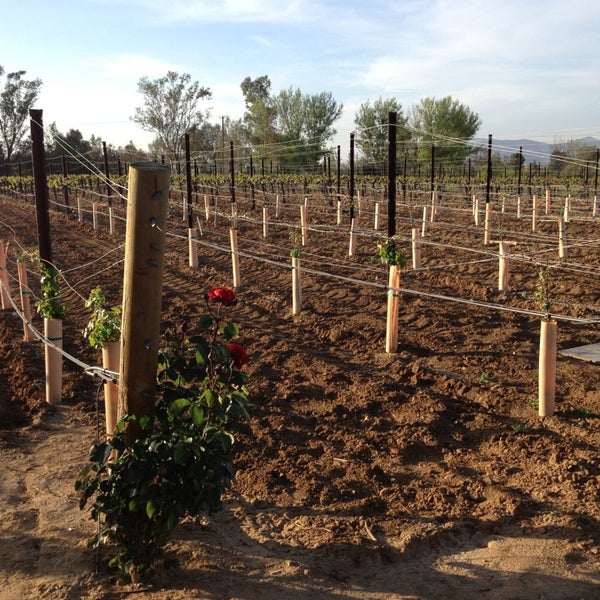 Lorimar Winery Vineyards - Winery