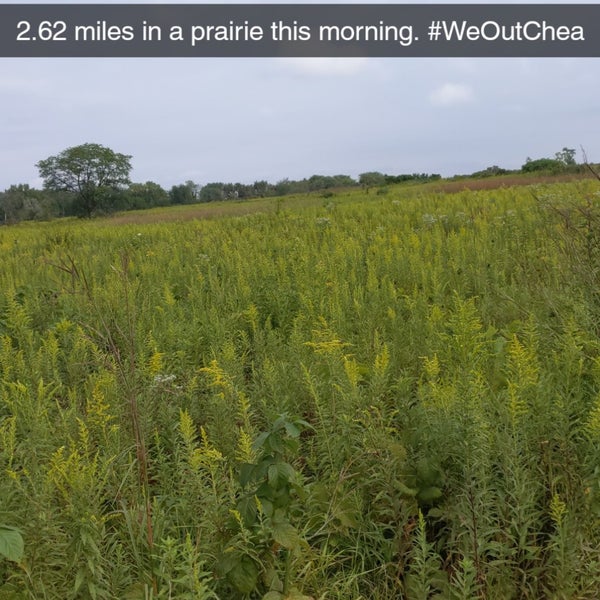 Photos at Springbrook Prairie Forest Preserve - 29 tips from 579 visitors