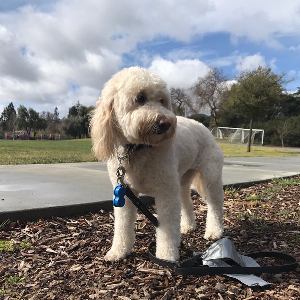 Eleanor Pardee Park - Palo Alto, CA