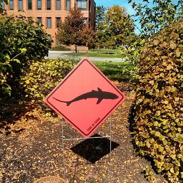 Photos at RIT Sentinel - Sculpture Garden