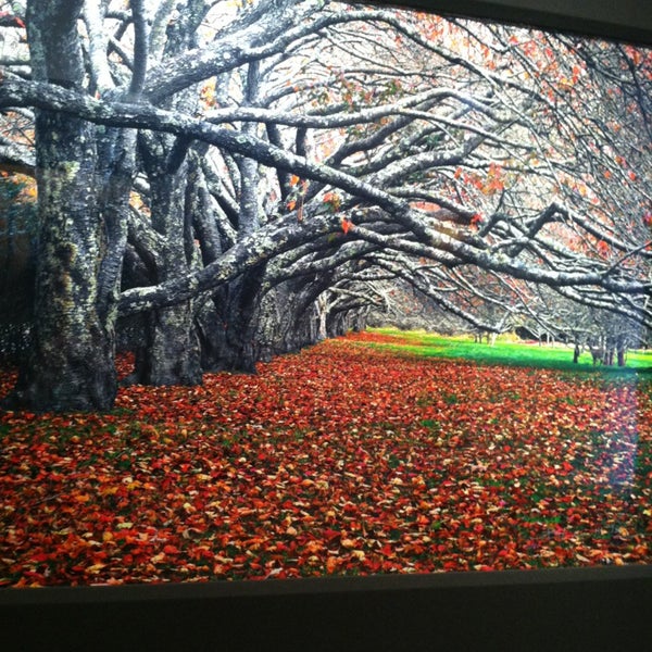 Peter Lik Gallery - Art Gallery in SoHo
