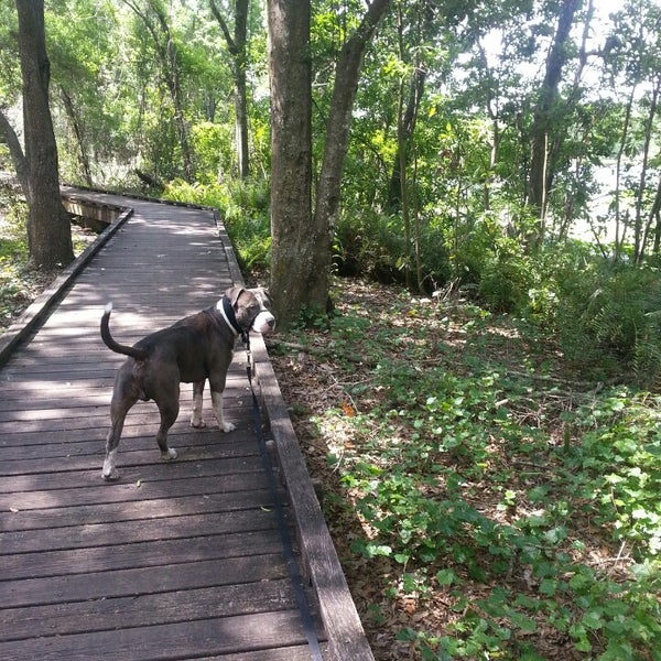 Al Lopez Park - Park in Al Lopez Park