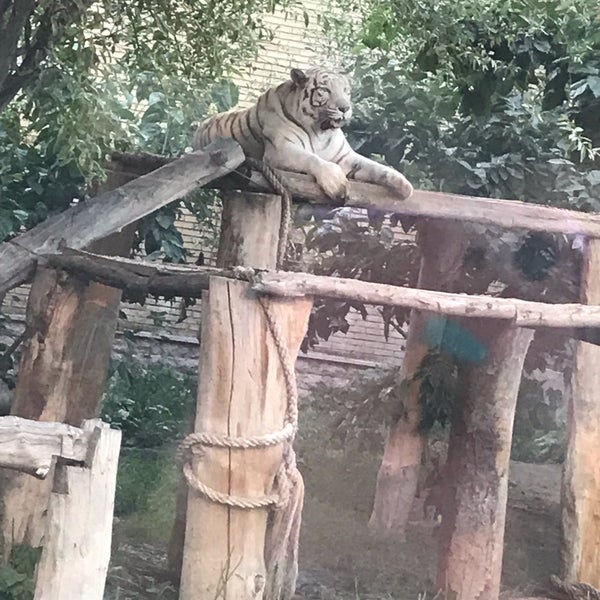 Photos at Tehran Zoo | باغ وحش تهران - منطقه ۵ - Eram Park