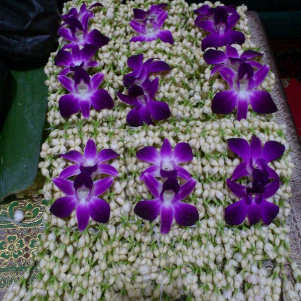 21+ Gambar Rangkaian Melati