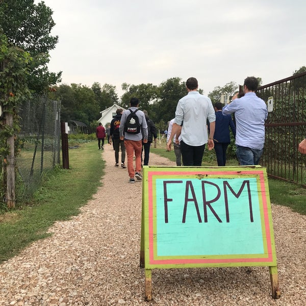 Springdale Farm - 13 tips from 458 visitors