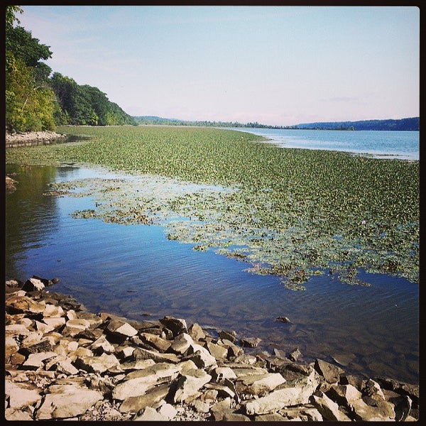 Falling Waters Preserve - Nature Preserve