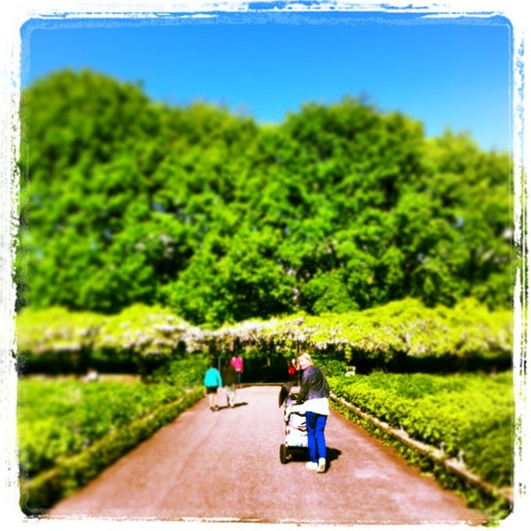 Erasmuspark - Stadsdeel West - Erasmuspark