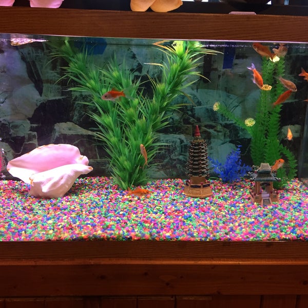 Szechuan Restaurant - Chinese Restaurant in Canton