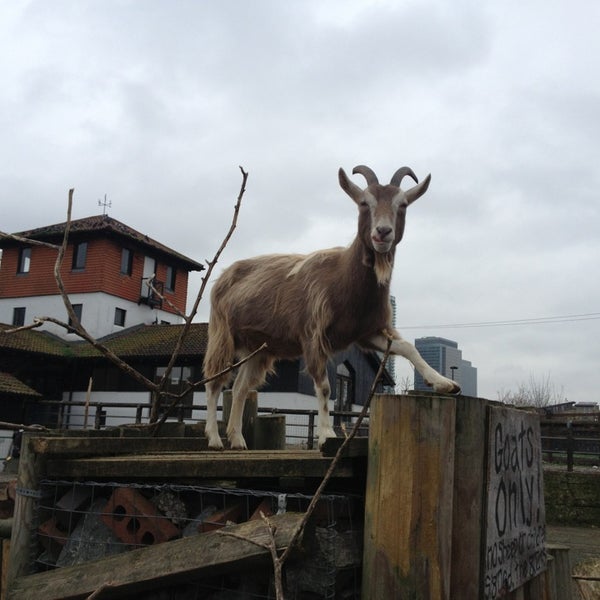 Surrey Docks City Farm - Farm in Surrey Docks