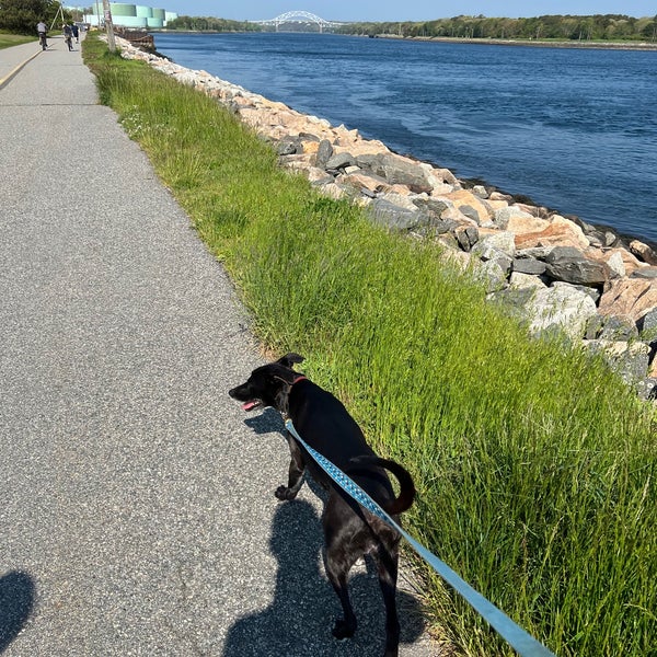 Cape Cod Canal Bikeway - Rt 6A