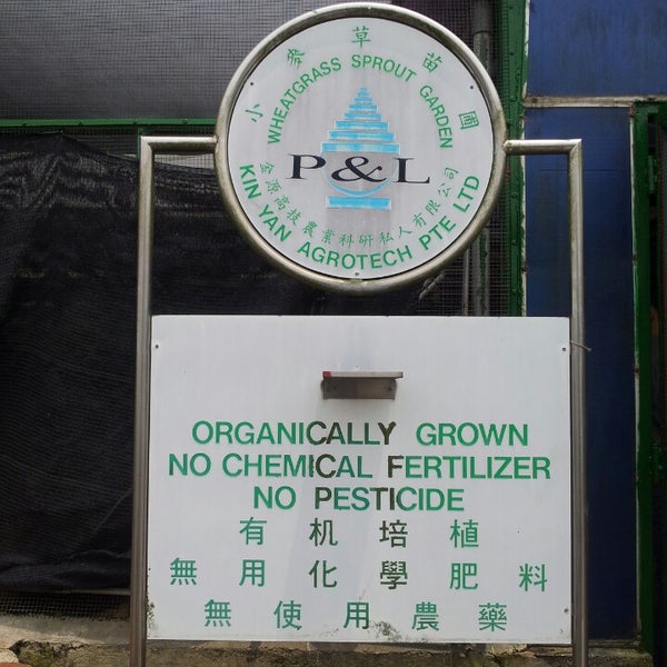 Photos at Kin Yan Agrotech Pre Ltd - Farm in Singapore