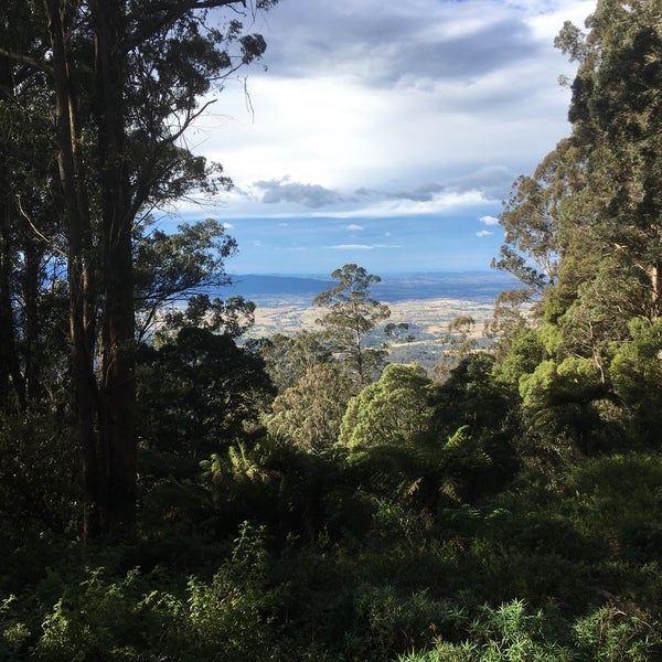Fred Piper Memorial Lookout