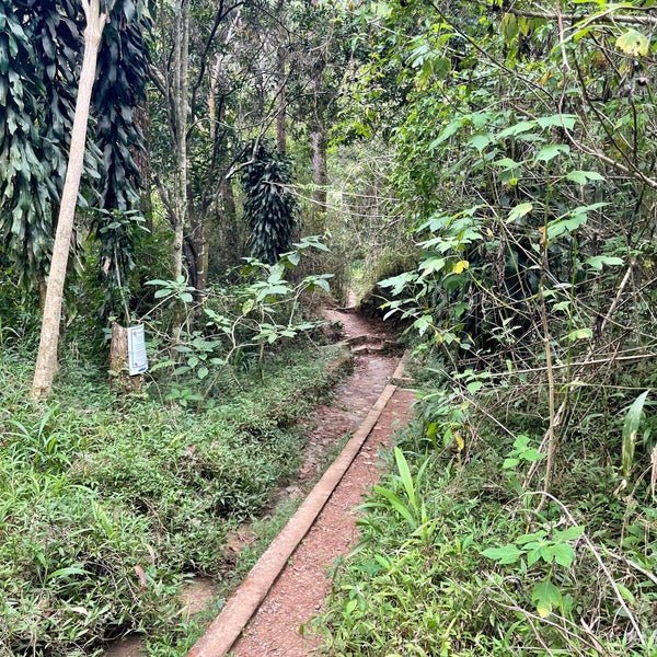 Yellow Trail - 2 tips from 85 visitors