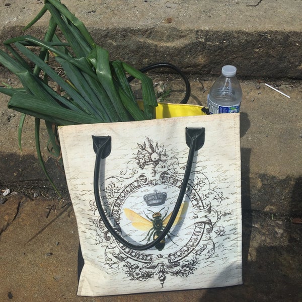 Photos at Arsenal Park - Playground in Lower Lawrenceville