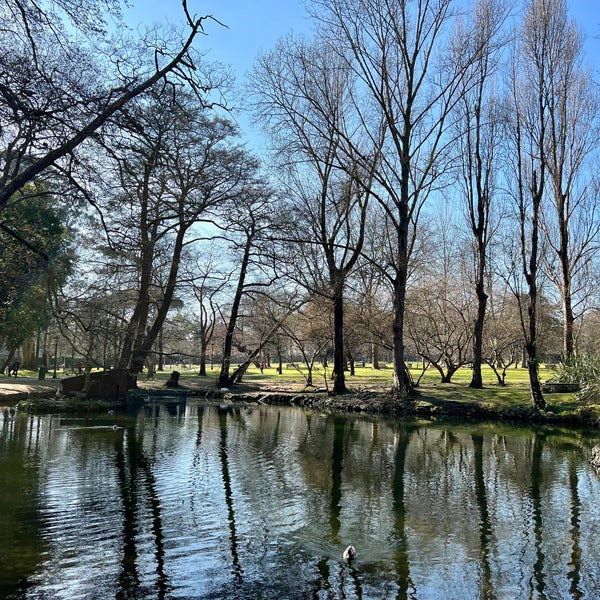 Parque de Ferrera - Park