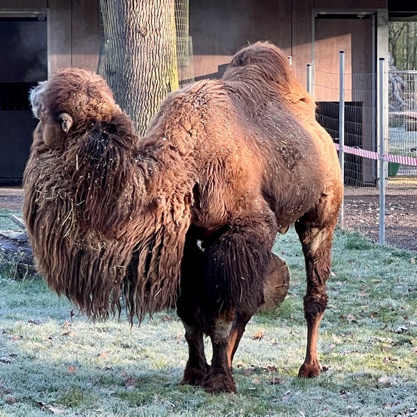 Tierpark Oberwald - Durlach - 1 tip