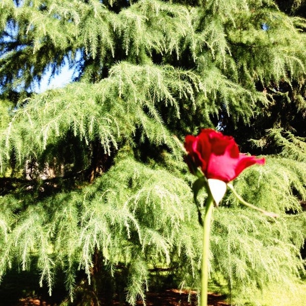 Villard Hall - University - Eugene, OR