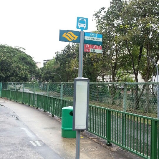 Bus Stop 52019 (After Bishan Road) - Toa Payoh - Braddell Rd