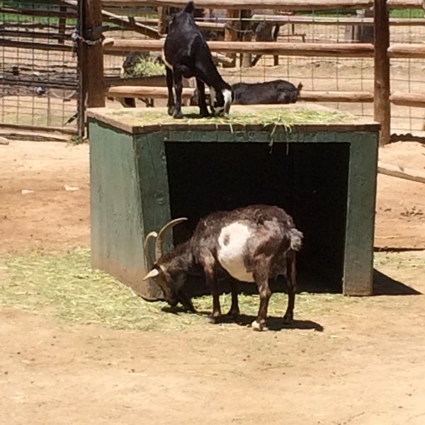 Pueblo Zoo - Pueblo, CO