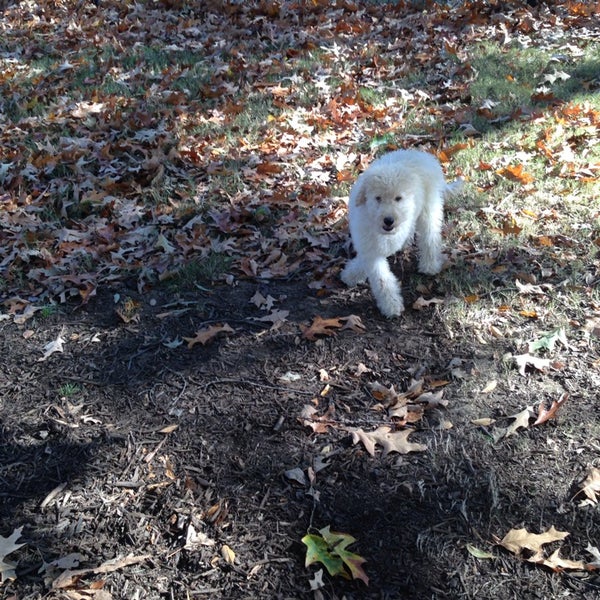 Suggs Park - 1 tip from 102 visitors