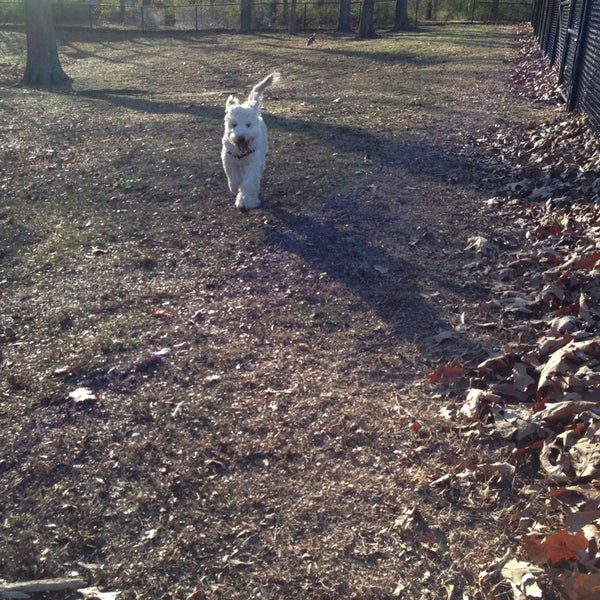 Suggs Park - 1 tip from 102 visitors