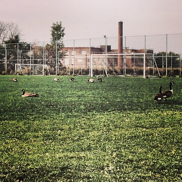 McCarthy Park - Baseball Field in Buffalo