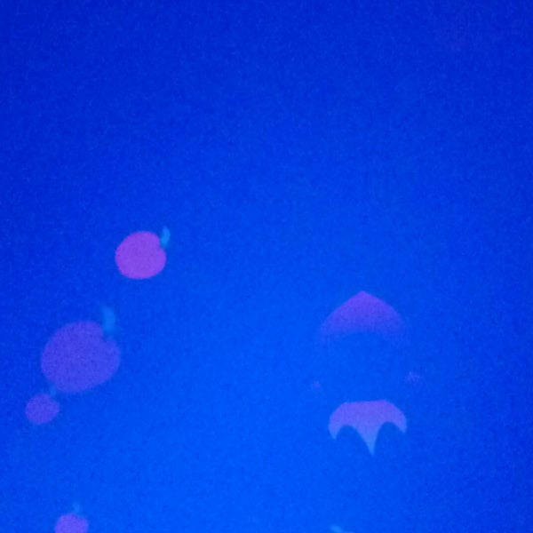 Ethyl IMAX Dome & Planetarium - Fan - Oregon Hill - Carver - 1 tip from ...