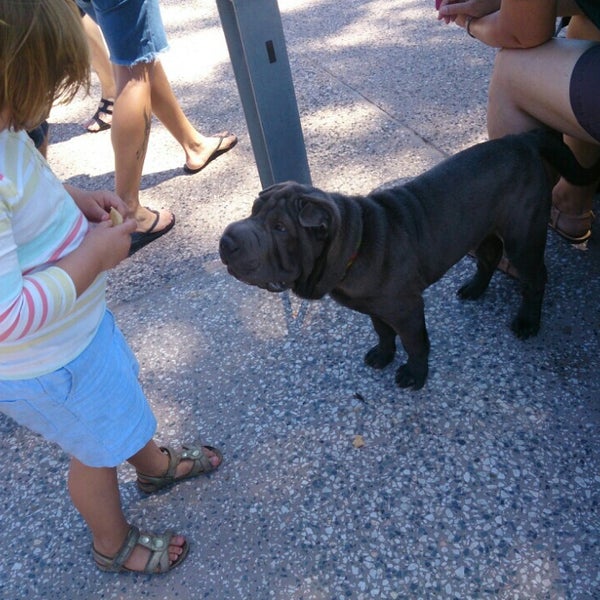 Pets Unleashed - Morningside, QLD