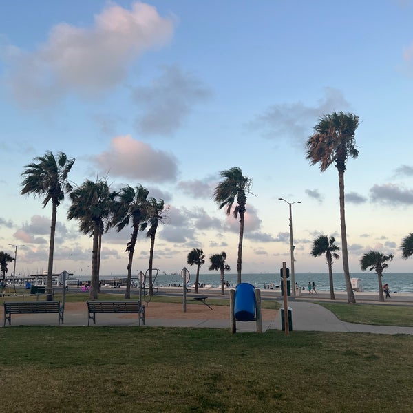 Shoreline/Ocean Drive - Scenic Lookout in Downtown Corpus Christi