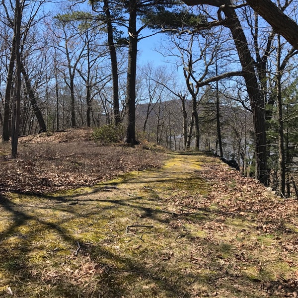 Manitou Point Nature Preserve Blue Trail - 411 NY-9D