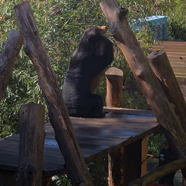 Sun Bear Exhibit - Grant Park - 1 tip