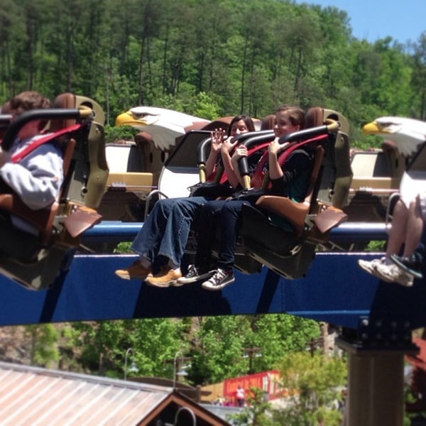 Wild Eagle - Dollywood