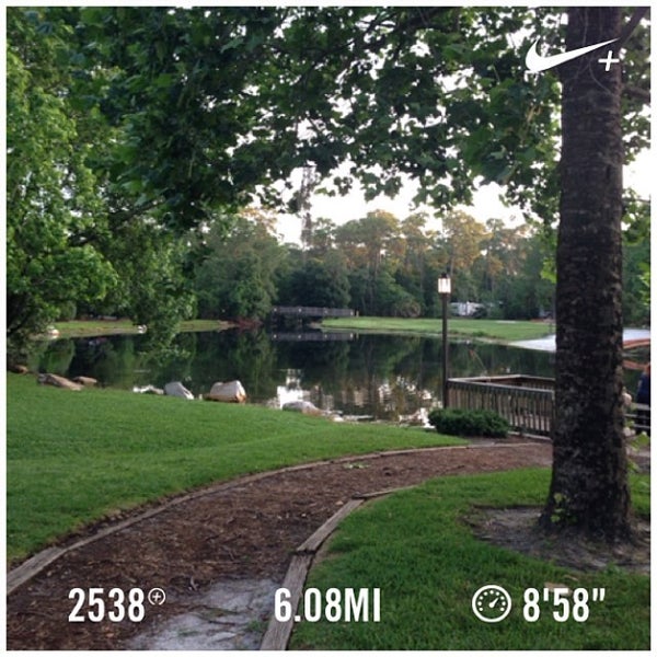 Bay Lake - Walt Disney World Resort - 9 tips from 2742 visitors