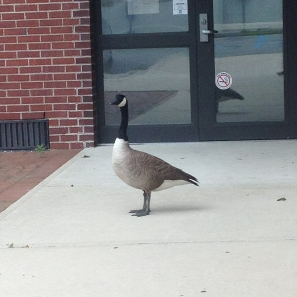 Photos at Gleeson Hall - Farmingdale, NY