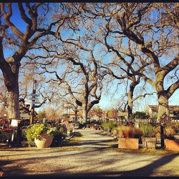 Photos at Alden Lane Nursery - Livermore-Pleasanton, CA