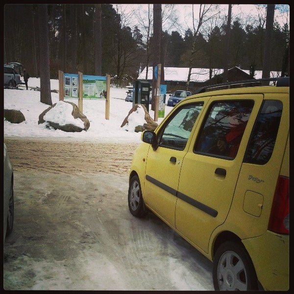 Birches Valley Forestry Centre - 8 tips from 229 visitors
