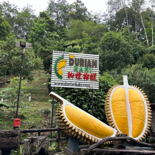 Cap Kaki Durian - 5 tips