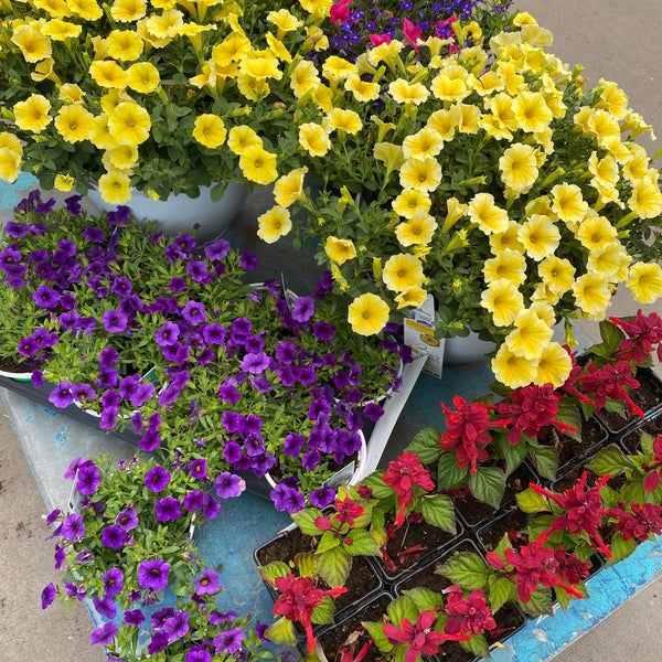 Lowe's - Hardware Store in Owasso