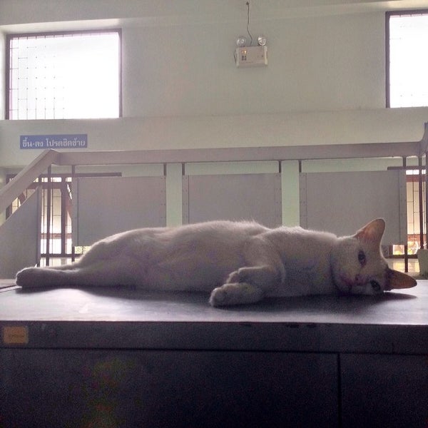 Photos at สำนักบริหารยุทธศาสตร์กลุ่มจังหวัด (Office of Strategy ...