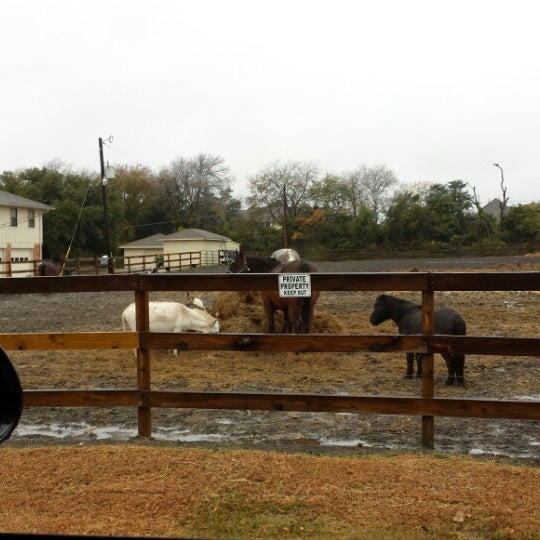Lucas, TX - City
